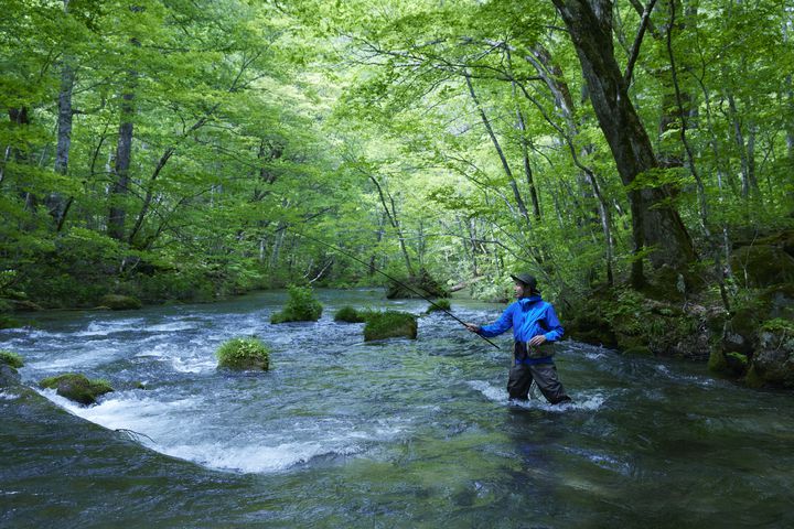 大自然の中で体験する、迫力満点の渓流釣り!「星野リゾート 奥入瀬渓流ホテル」にて、「奥入瀬渓流プライベートフィッシング」新登場