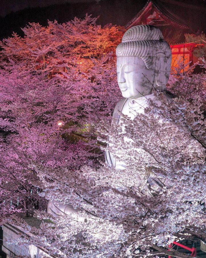 4月のお出かけはここに決まり！RETRIP日本が選ぶ春の全国絶景スポットランキング【前編】 | RETRIP[リトリップ]