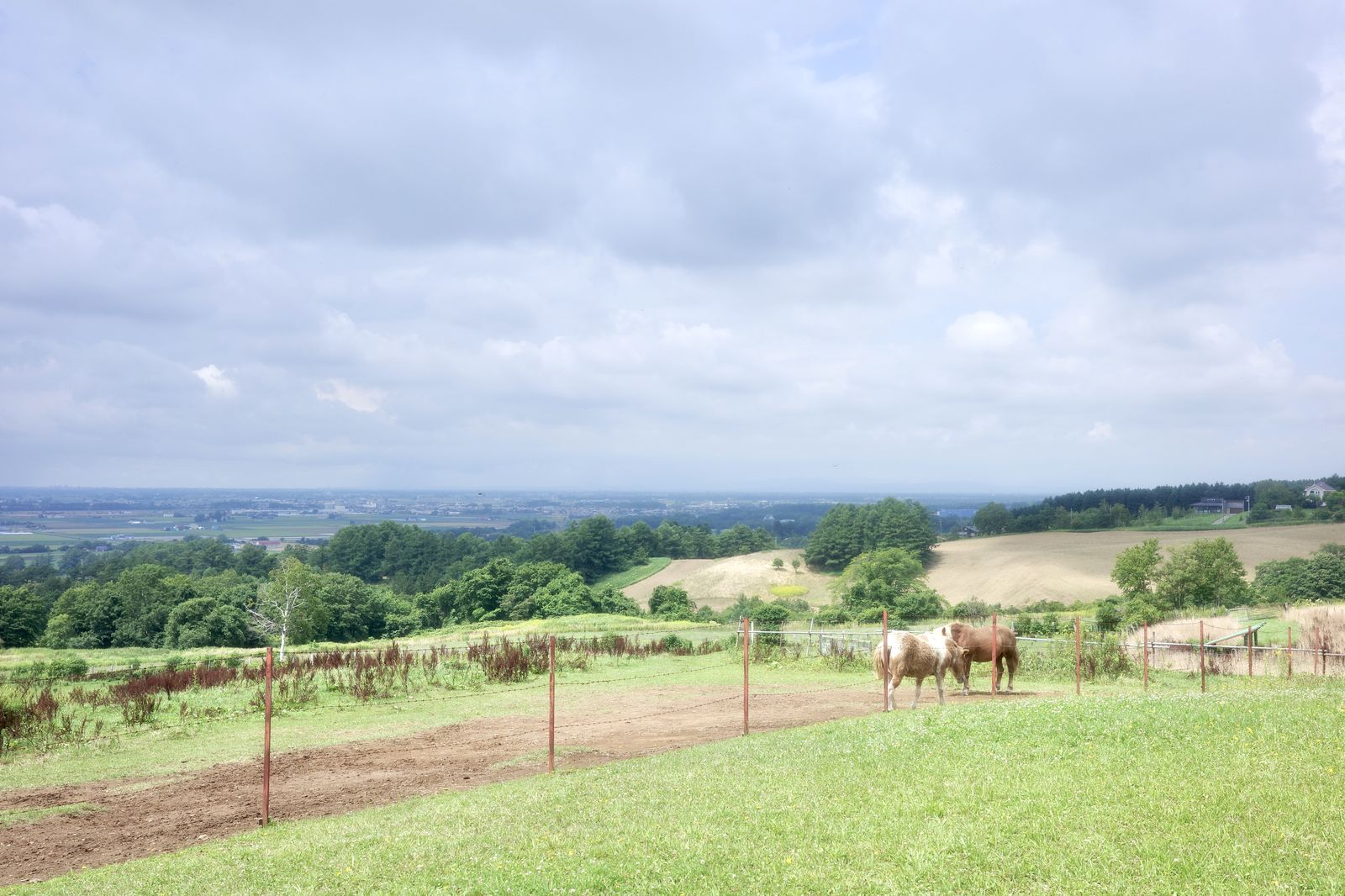 北海道の自然と文化をクエスト！恵庭＆長沼の道の駅隣接ホテルを拠点に巡る欲張り周遊旅 | RETRIP[リトリップ]