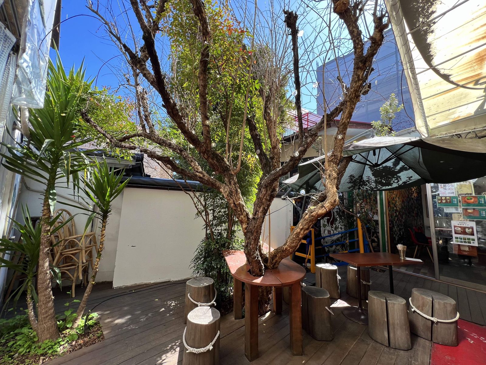 非日常空間を楽しめる！アートと自然が融合した隠れ家オープンカフェテラス「Design Festa Cafe & Bar」の魅力をご紹介 ...