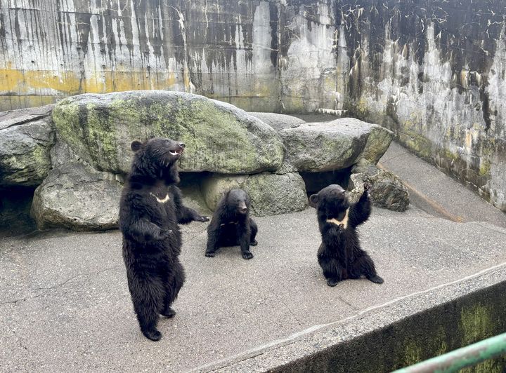 【体験レポ】非日常への誘い！「界 奥飛騨」で叶える、温泉と匠の技に触れる大人の休日 | RETRIP[リトリップ]