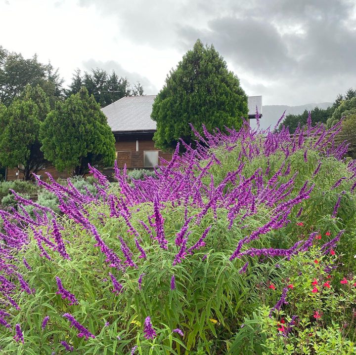 【2025最新】島根の人気自然食・オーガニックランキングTOP12 | RETRIP[リトリップ]