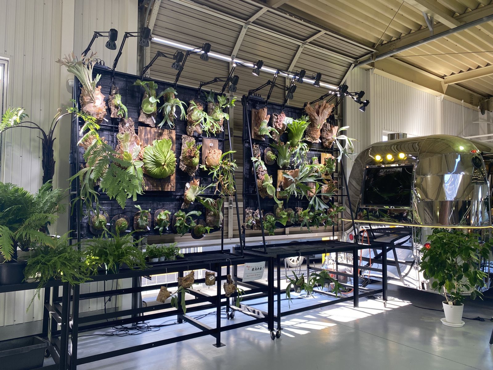 BOTANICAL GARDEN OZMAN(オズマン) | RETRIP[リトリップ]