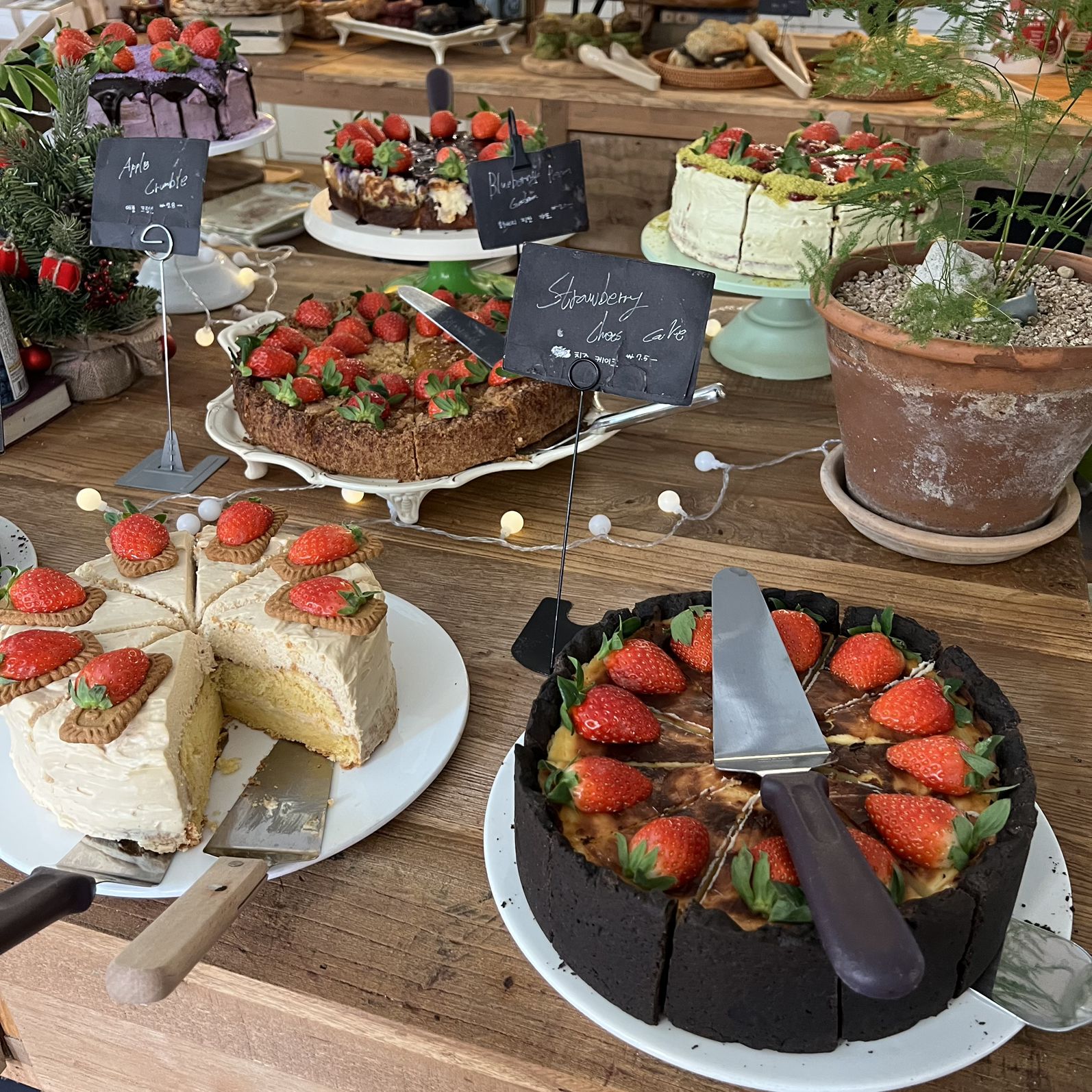 state bakery | くふうトリップ（旧RETRIP）