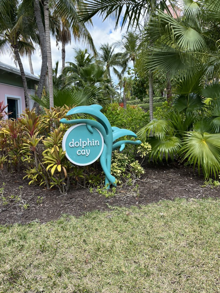 Dolphin Cay Atlantis | RETRIP[リトリップ]