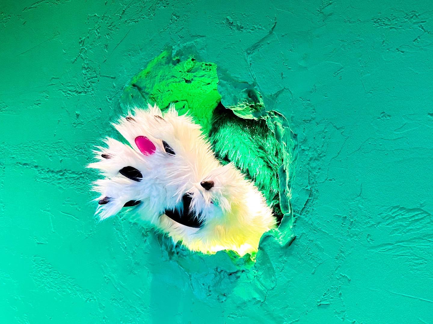 ANAKUMA CAFE | RETRIP[リトリップ]