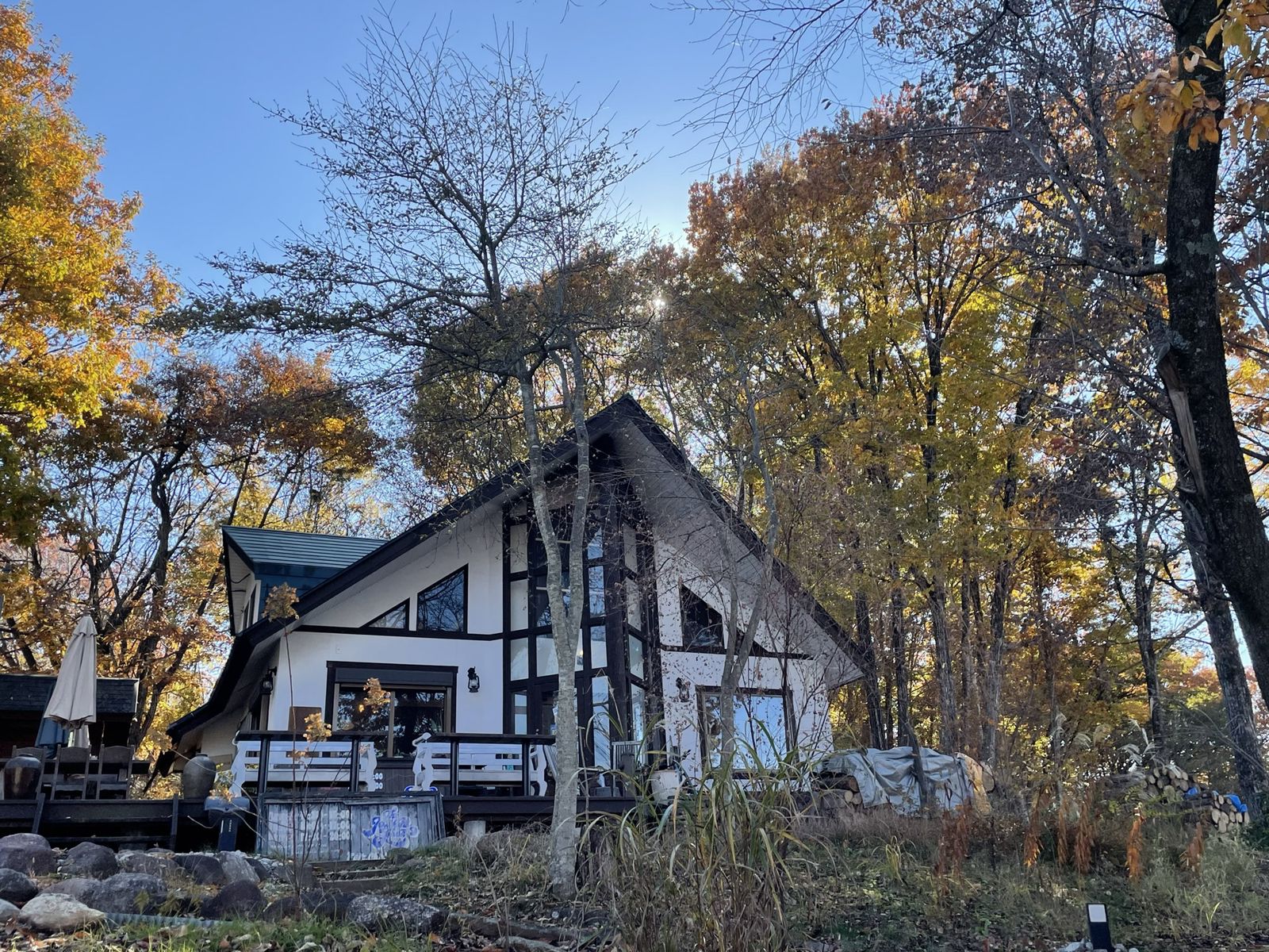 Joshua Tree ジョシュアツリー | RETRIP[リトリップ]